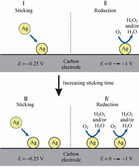 Performance of silver nanoparticles in the catalysis of the oxygen ...