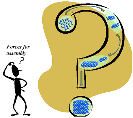 Understanding the forces acting in self-assembly and the implications ...