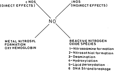 Biochemistry of Nitric Oxide | SpringerLink