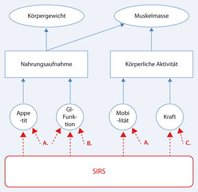 Kachexie | SpringerLink