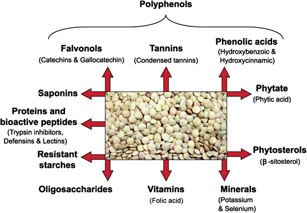 Role of lentils ( Lens culinaris L.) in human health and nutrition: a ...