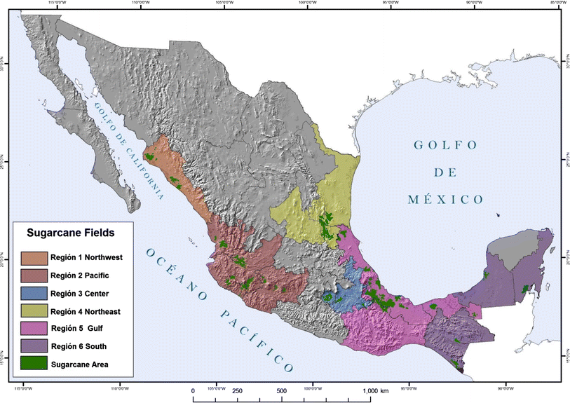 The Mexican Sugarcane Industry: Overview, Constraints, Current Status ...