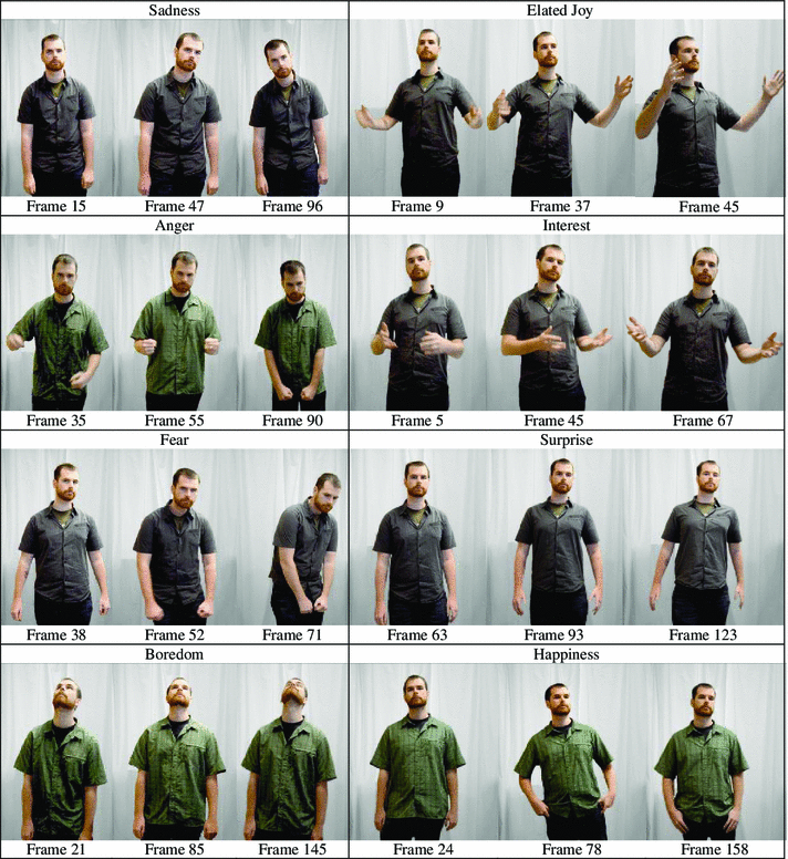 Recognizing Emotional Body Language Displayed by a Human-like Social ...