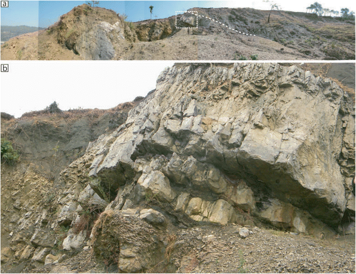 The Eocene Sylhet Limestone of Jaflong and Adjoining Areas, Sylhet: an ...