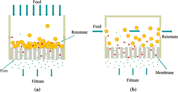 Fruit Juice Processing and Membrane Technology Application | SpringerLink