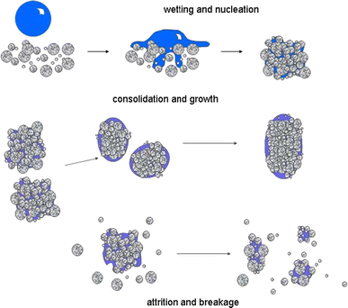 Application of Wet Granulation Processes for Granola Breakfast Cereal ...