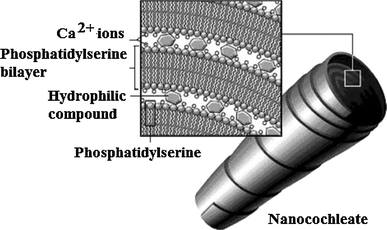 Better Nutrients and Therapeutics Delivery in Food Through ...
