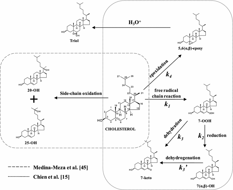 Kinetics of Cholesterol Oxidation in Model Systems and Foods: Current ...