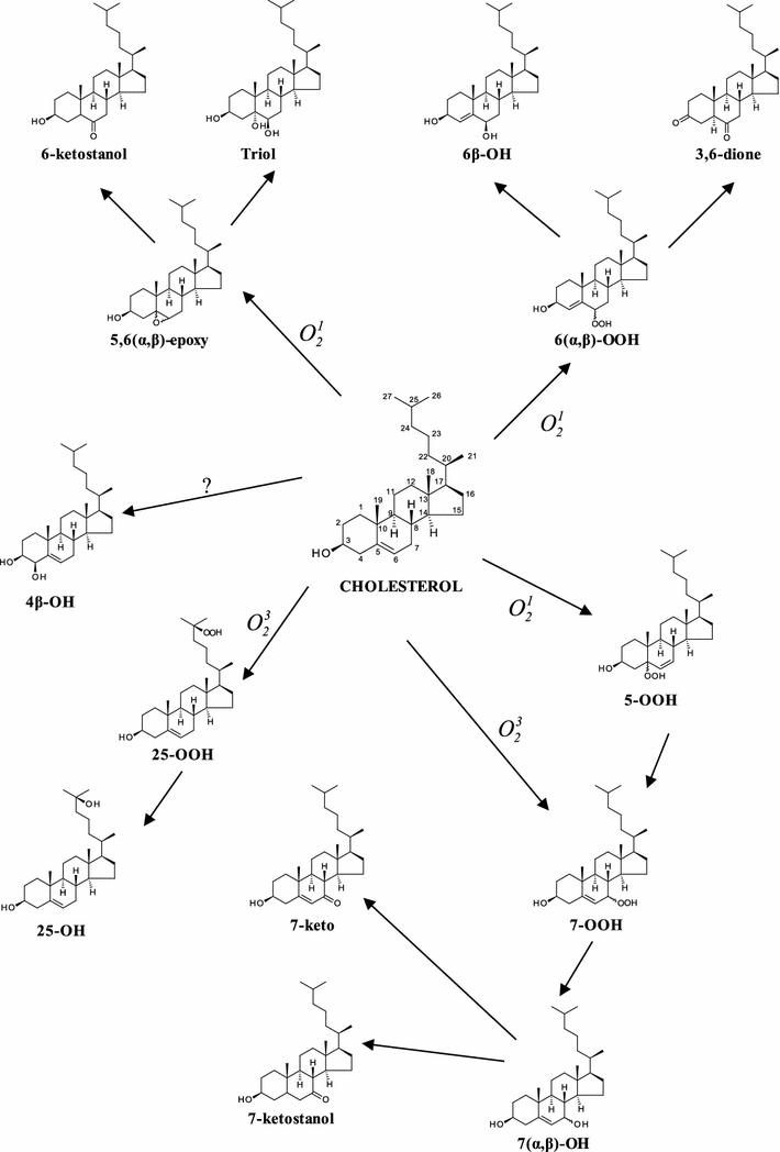 Kinetics of Cholesterol Oxidation in Model Systems and Foods: Current ...