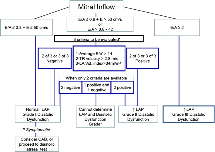 Modern Assessment of Diastolic Function | SpringerLink