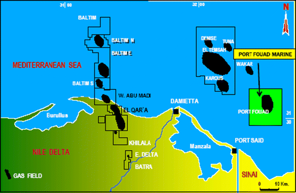 Petrophysical characteristics of Wakar Formation, Port Fouad marine ...