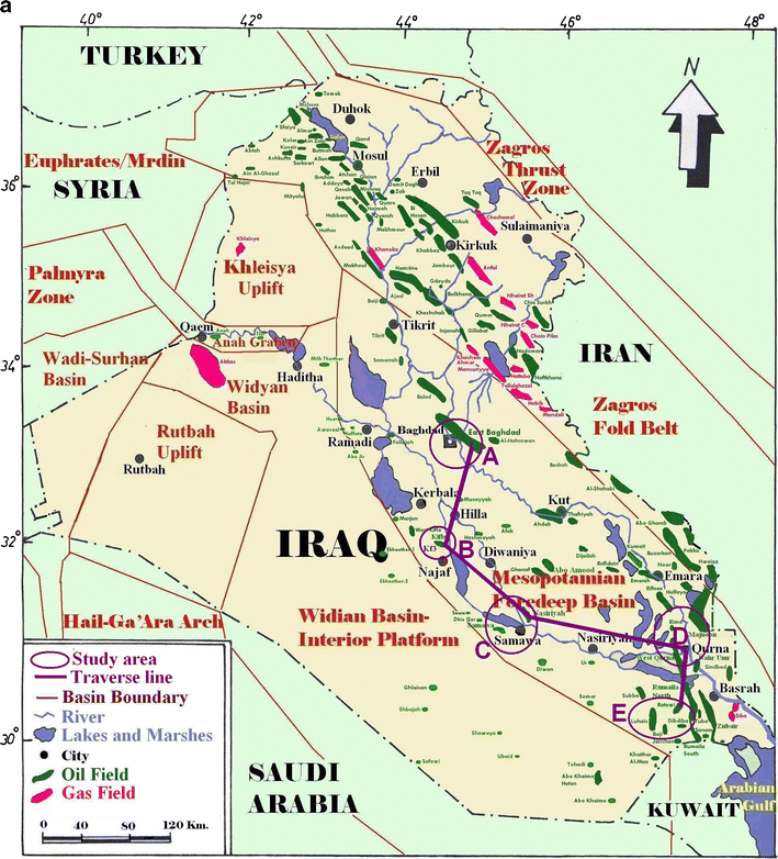 Palynomorph stratigraphy, palynofacies and organic geochemistry ...