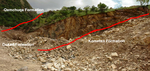 Biostratigraphy of the Tethyan cretaceous successions from northwestern ...