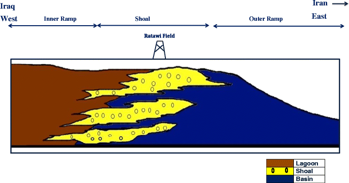 Microfacies and environmental study of the lower cretaceous yamama ...