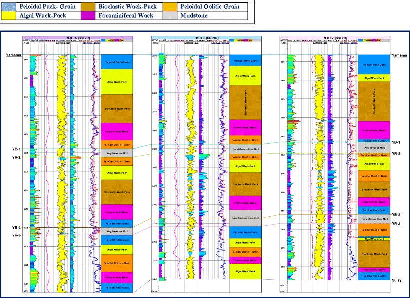 Microfacies and environmental study of the lower cretaceous yamama ...