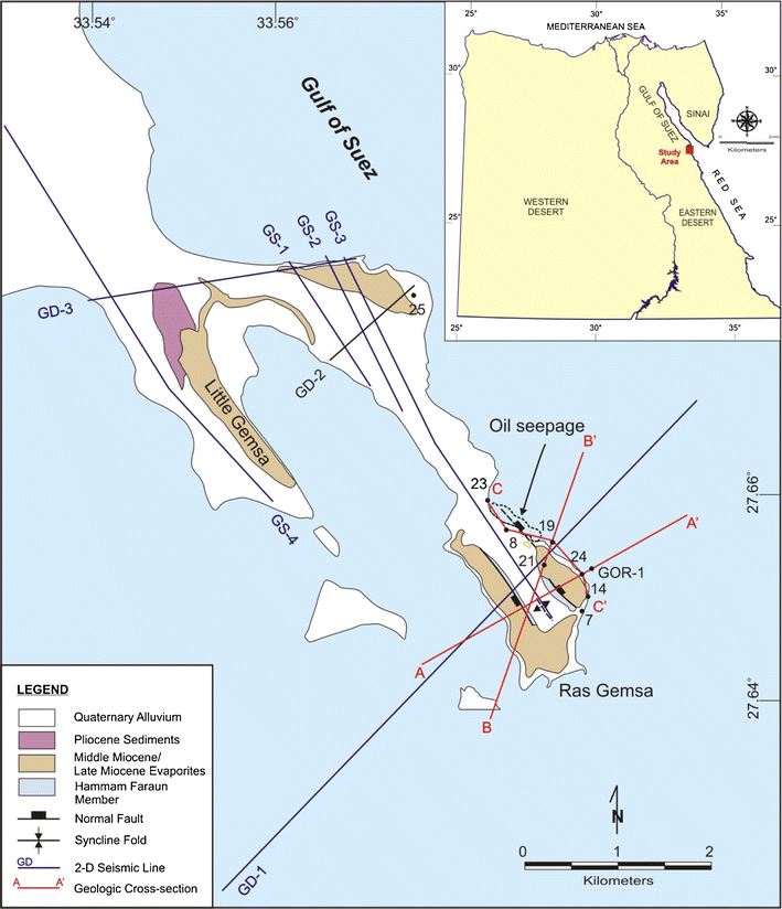 Fracture reopening by micro-earthquakes, a mechanism for oil seepage in ...