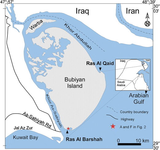 The role of organominerals in the lithification of calcareous lumps ...