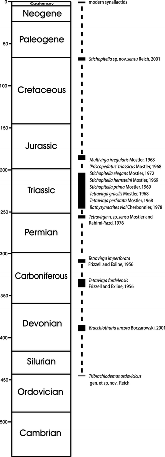 The oldest synallactid sea cucumber (Echinodermata: Holothuroidea ...