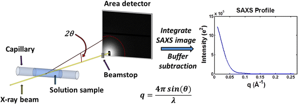 Protein–DNA and ion–DNA interactions revealed through contrast ...
