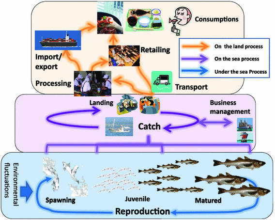 Towards integrated research in fisheries science | SpringerLink