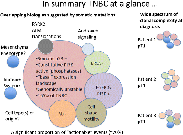 Emerging Prognostic and Predictive Biomarkers for Triple Negative ...