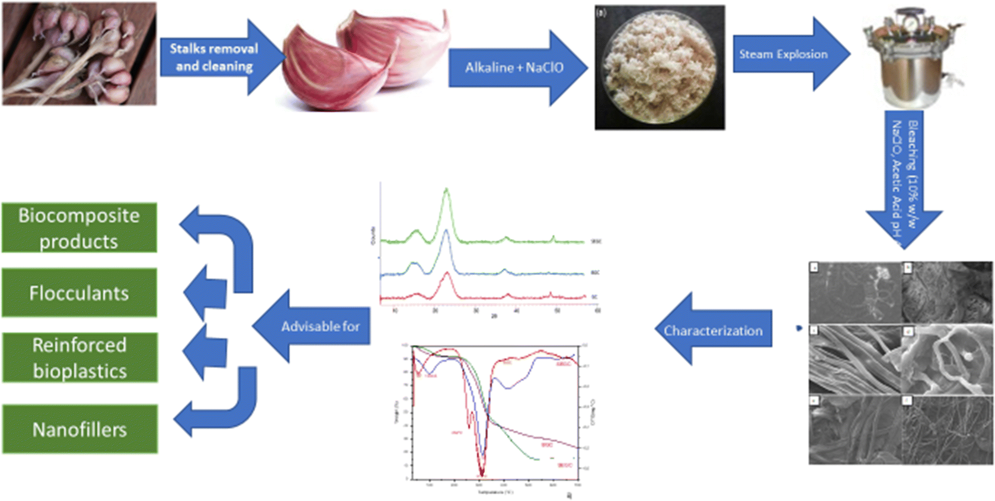 Valorization of Garlic Crops Residues as Precursors of Cellulosic ...