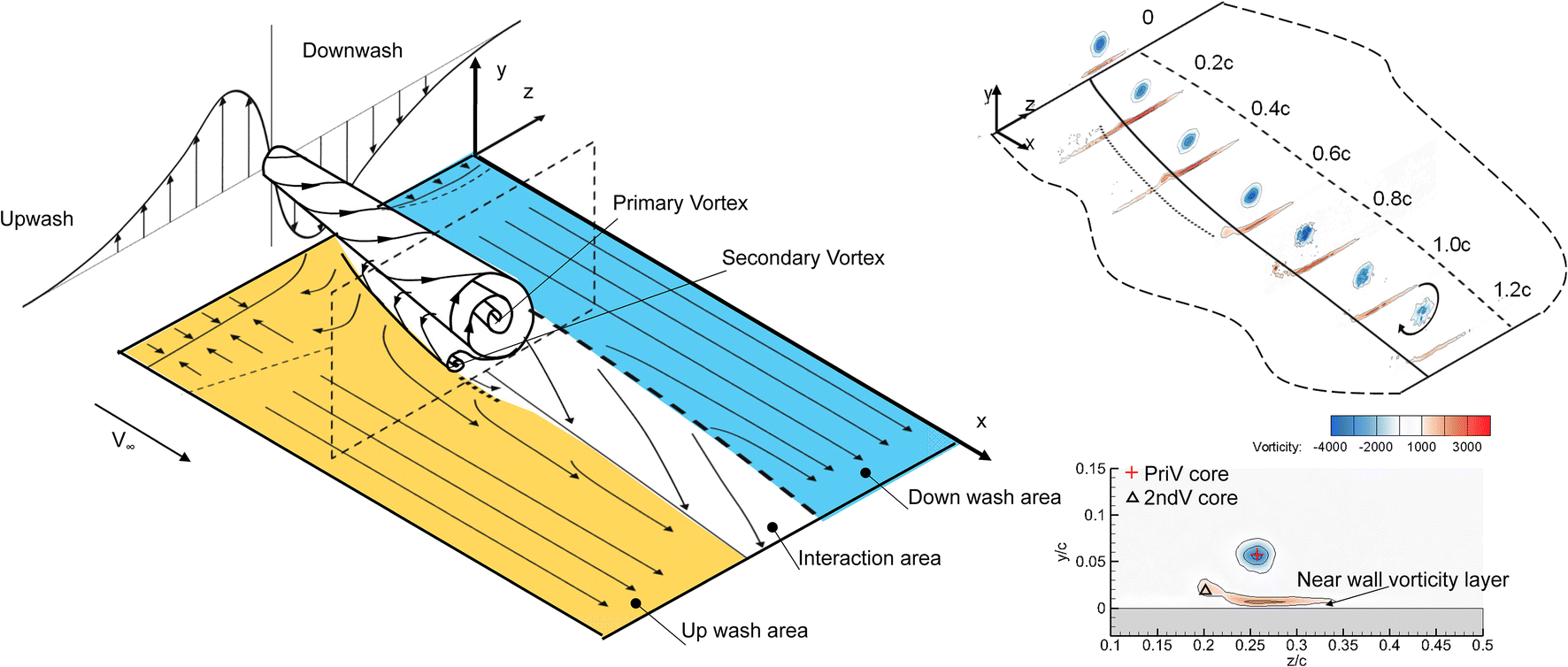 Experimental investigation on the streamwise vortex–surface interaction | SpringerLink