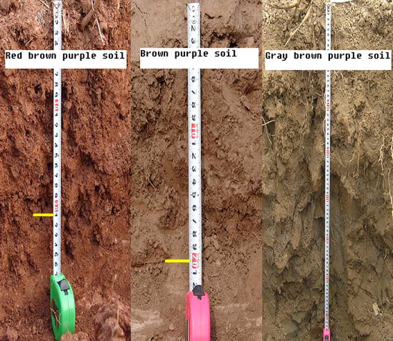 Effects of rock fragments on infiltration and evaporation in hilly ...