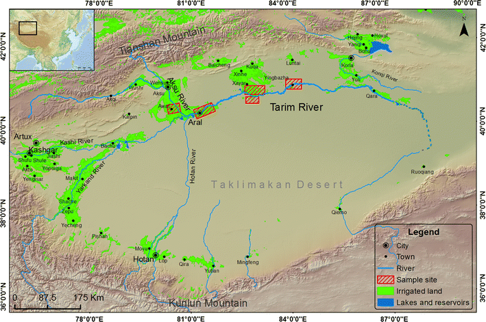 Irrigation in the Tarim Basin, China: farmers’ response to changes in ...