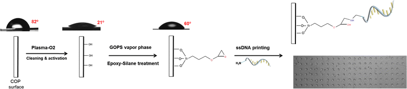 A Facile and Fast Chemical Process to Manufacture Epoxy–Silane Coating ...