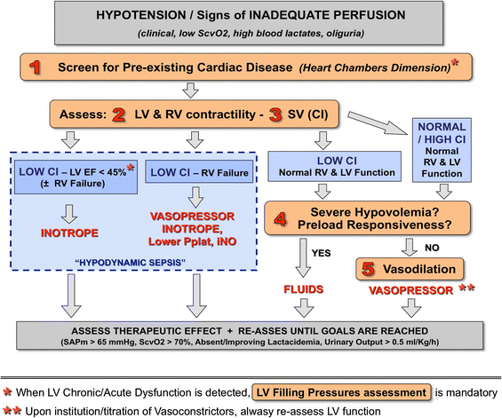 Echocardiography in the sepsis syndromes | SpringerLink