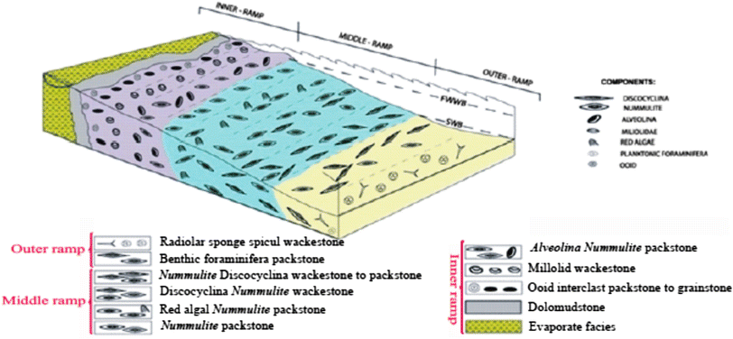 Microfacies and geochemical evidence for original aragonite mineralogy ...