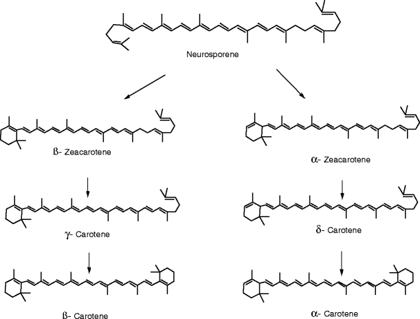Lycopene; chemistry, biosynthesis, metabolism and degradation under ...