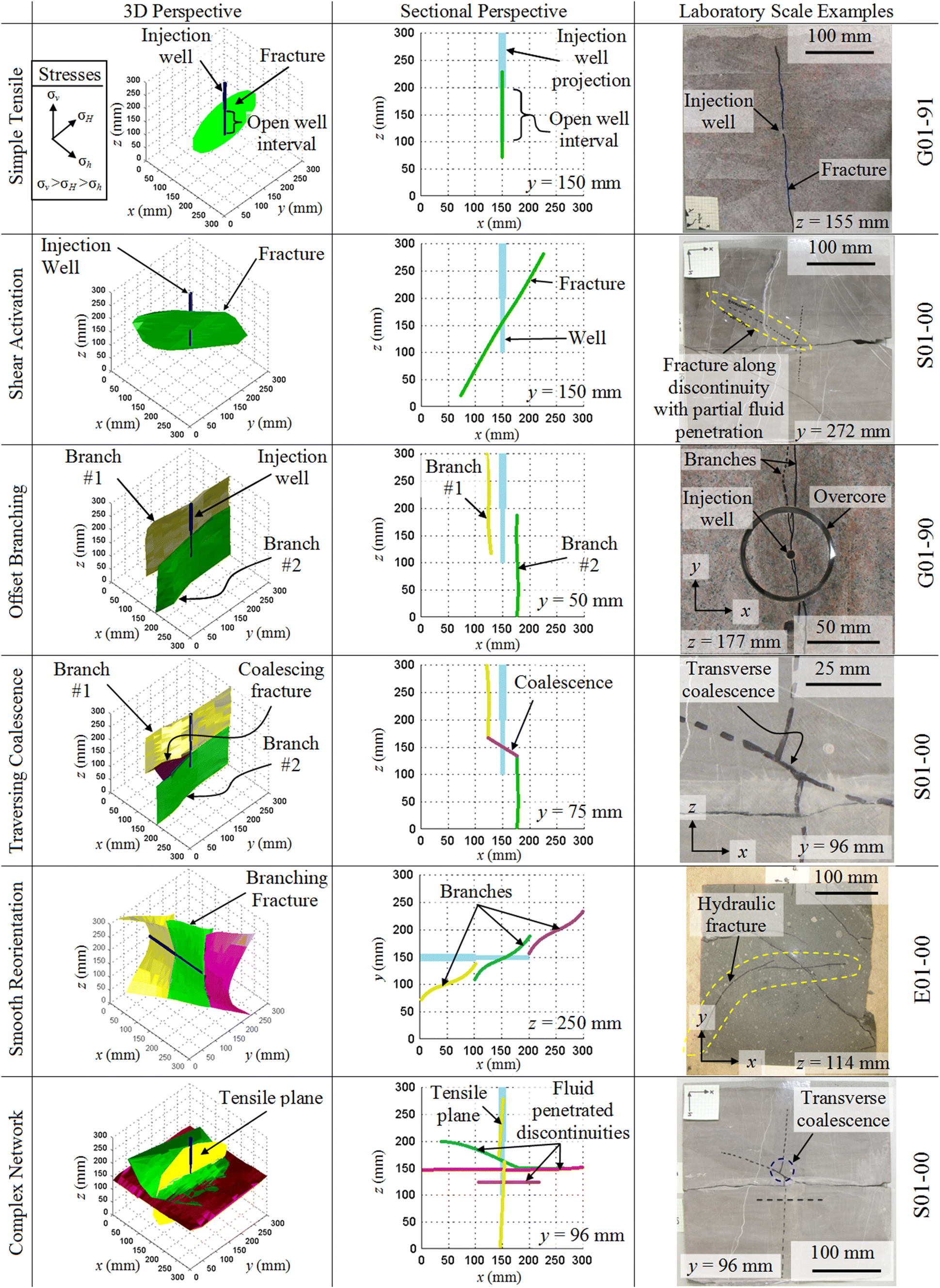 Patterns in complex hydraulic fractures observed by true-triaxial ...