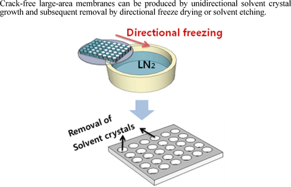 Large-area PVDF membranes with through-thickness porosity prepared by ...