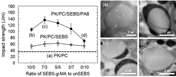 Morphology and Mechanical Properties of Polyketone/Polycarbonate Blends ...