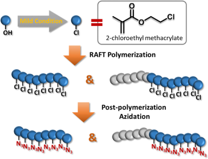 Reversible Addition-Fragmentation Chain Transfer Polymerization of 2 ...