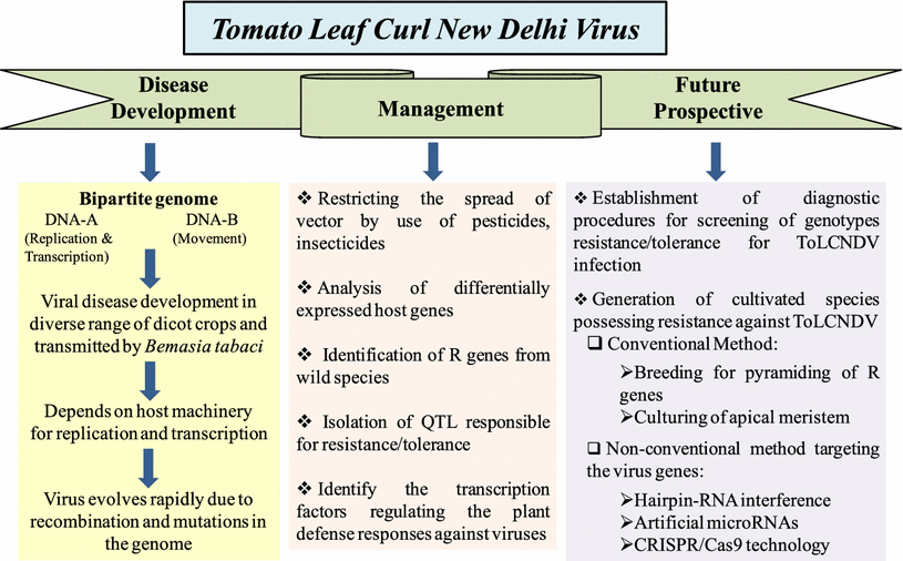 An insight into plant– Tomato leaf curl New Delhi virus interaction ...