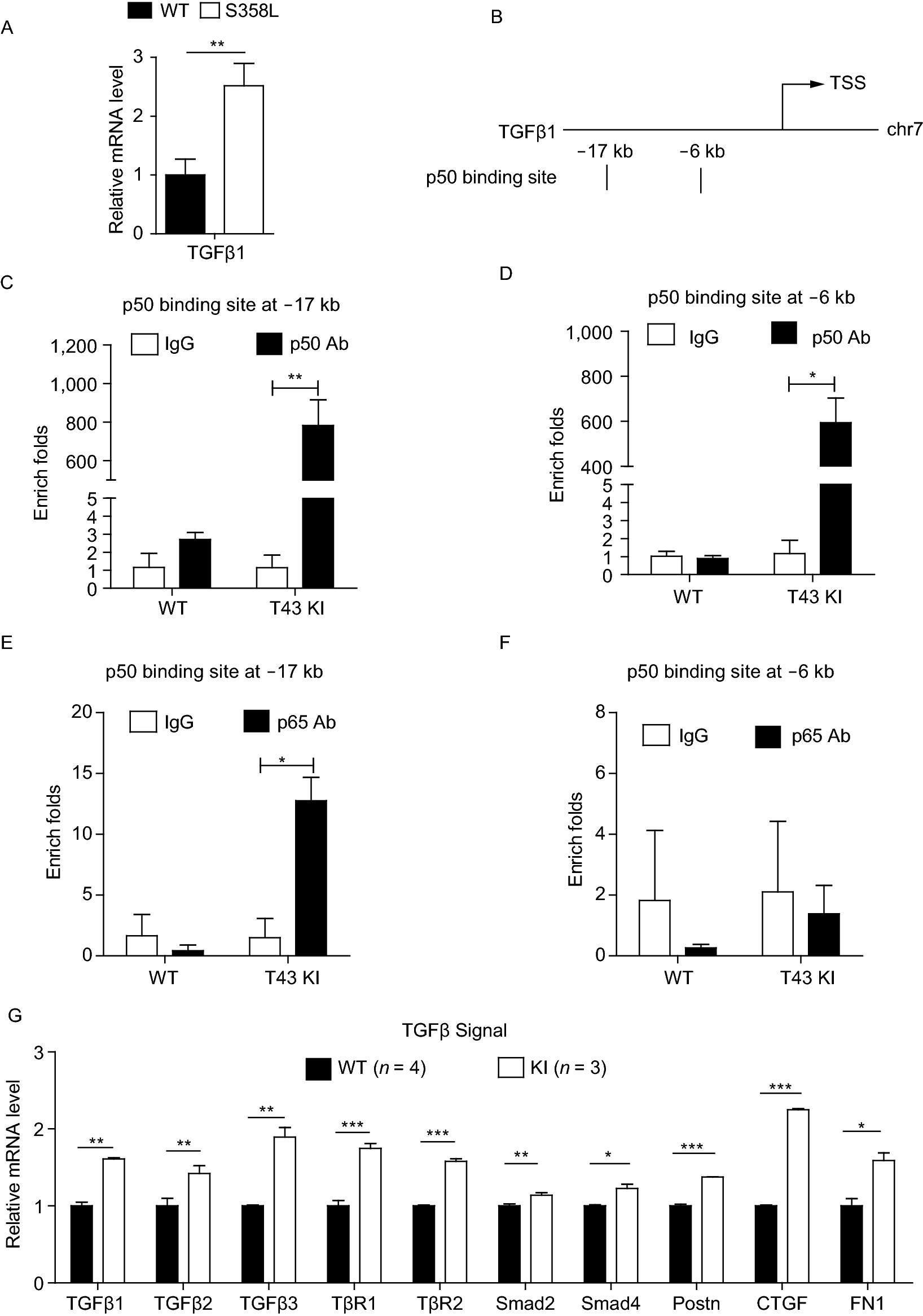 TMEM43-S358L mutation enhances NF-κB-TGFβ signal cascade in ...