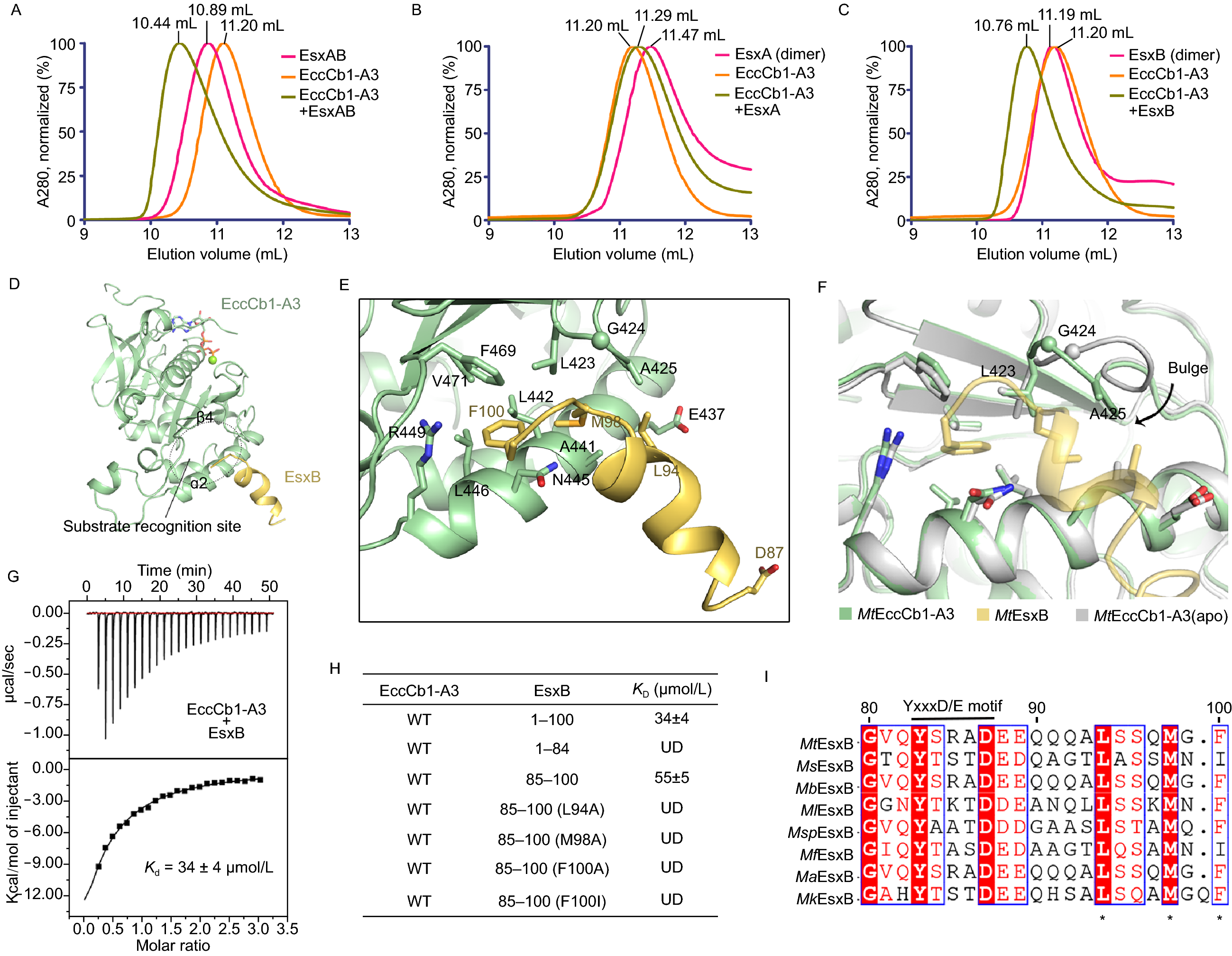 Structural insights into substrate recognition by the type VII ...
