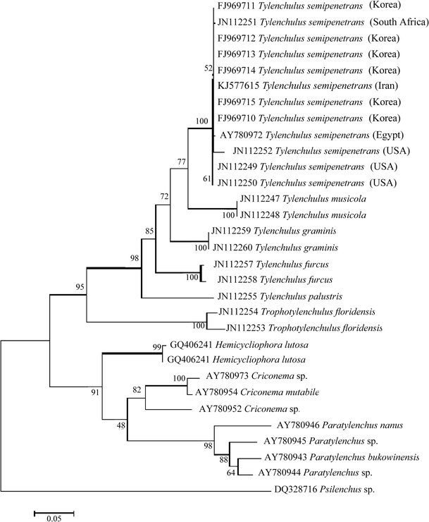 Tylenchulus semipenetrans (Nematoda: Tylenchulidae) on pomegranate in ...