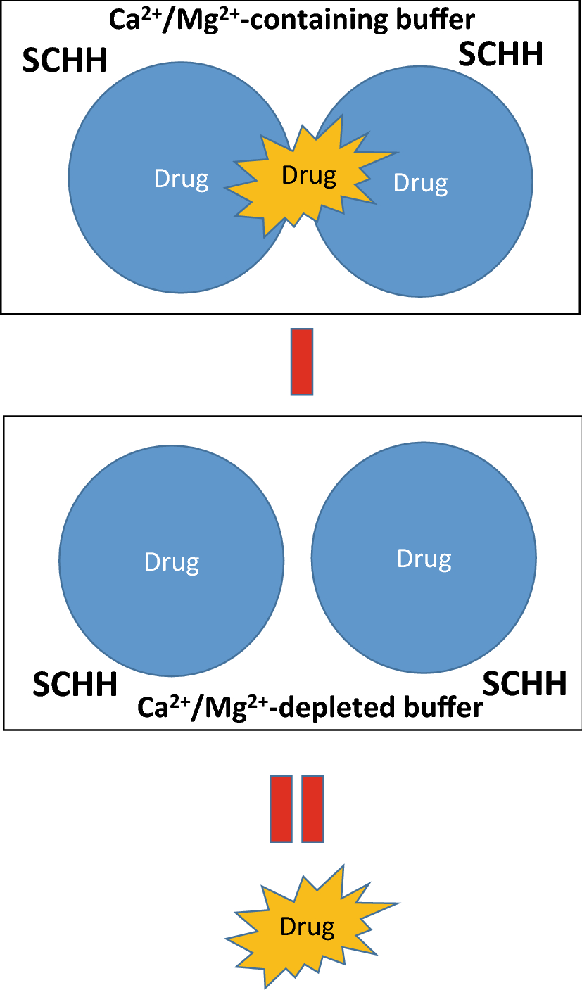 Evaluation of Drug Biliary Excretion Using Sandwich-Cultured Human ...