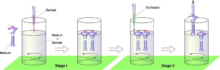 In vitro dissolution testing strategies for nanoparticulate drug ...