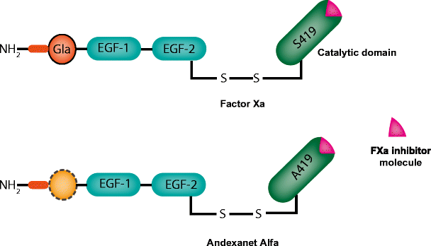 Approaches to prevent bleeding associated with anticoagulants: current ...