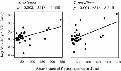 Spatio-temporal dynamics of generalist predators ( Tetragnatha spider ...