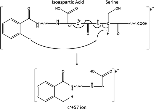 Distinguishing Aspartic and Isoaspartic Acids in Peptides by Several ...