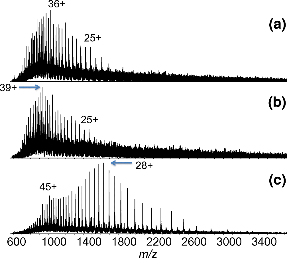 Native Top-Down Mass Spectrometry and Ion Mobility Spectrometry of the ...