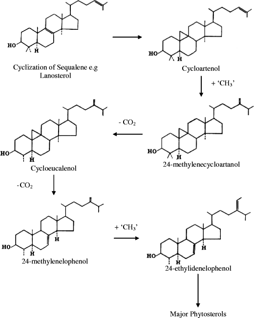 Pharmacological, nutritional, and analytical aspects of β-sitosterol: a ...