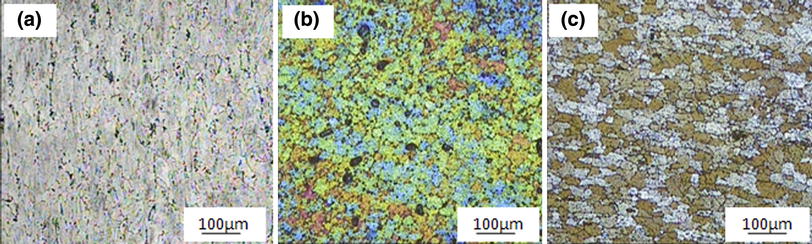 A New Metallographic Technique for Revealing Grain Boundaries in ...
