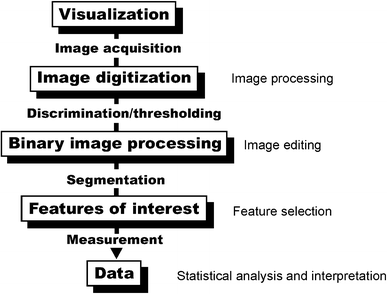 Principles of Image Analysis | SpringerLink